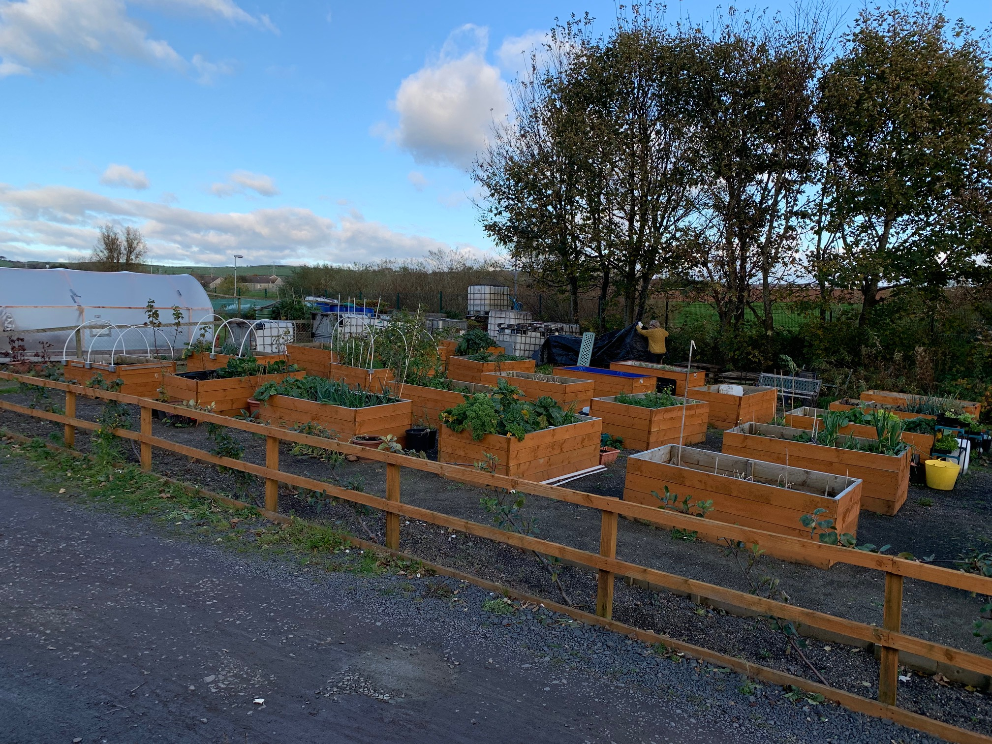 Allotment